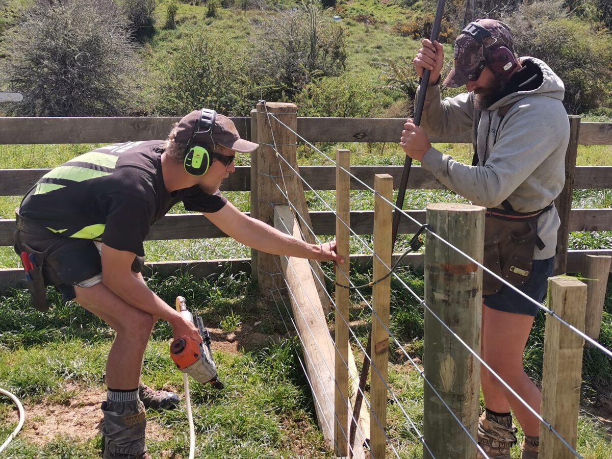 FCANZ guide to choosing the right fencing contractor